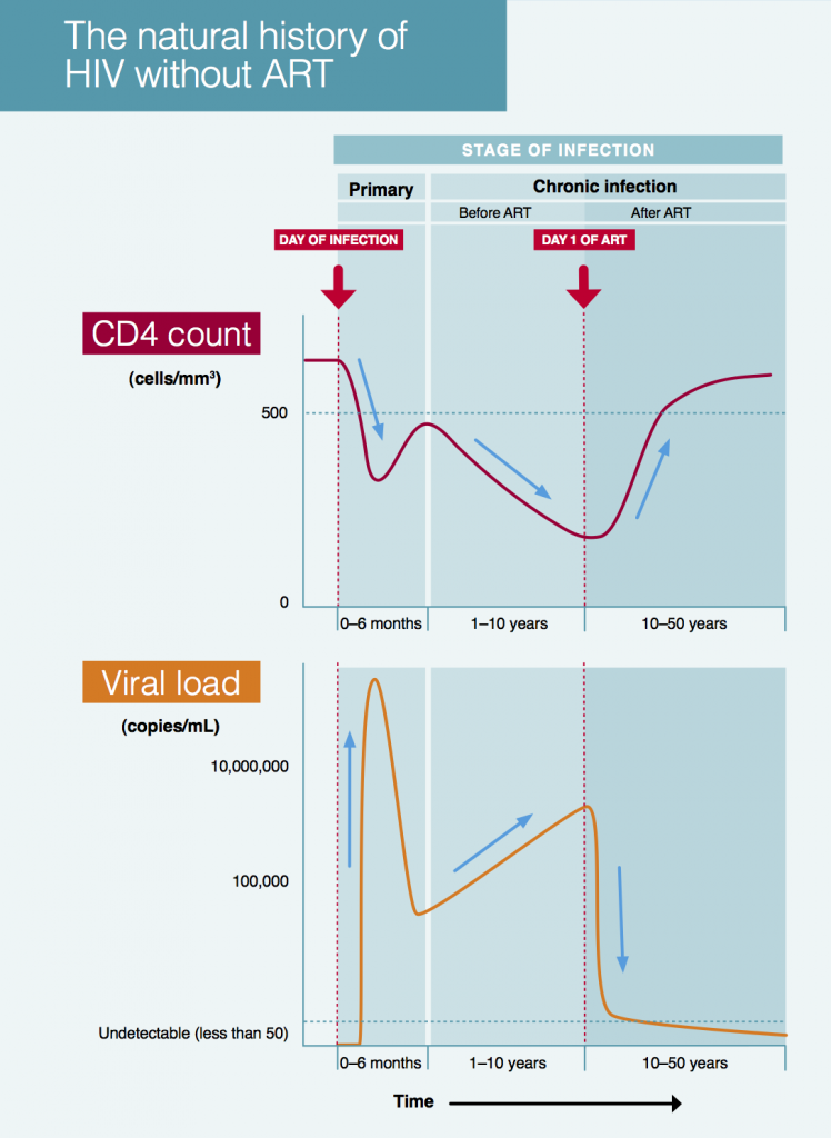 The natural history of HIV without ART | HIV i-Base