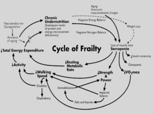 Frailty in HIV care and the importance of lifestyle changes | HIV i-Base