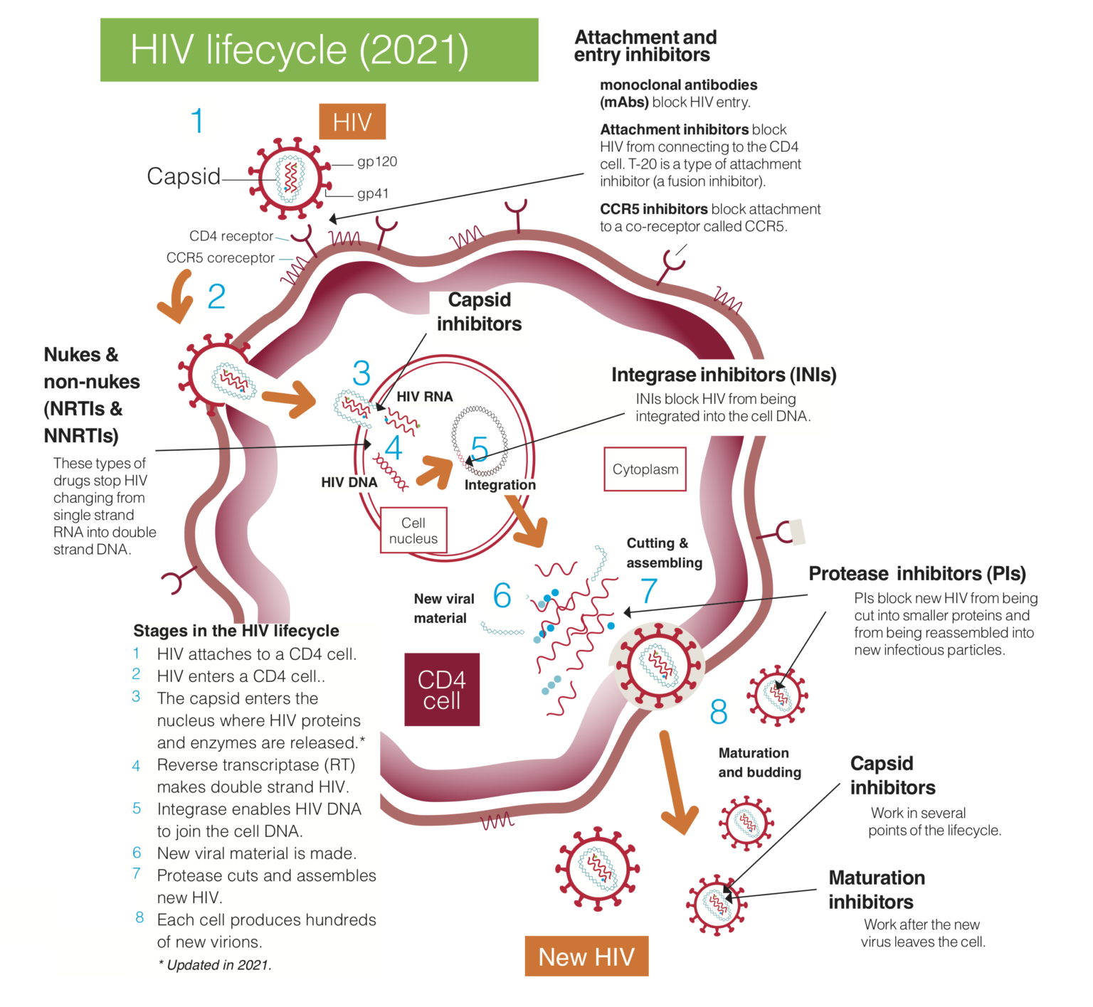 3. 5 How HIV drugs work – main types of drugs | HIV i-Base